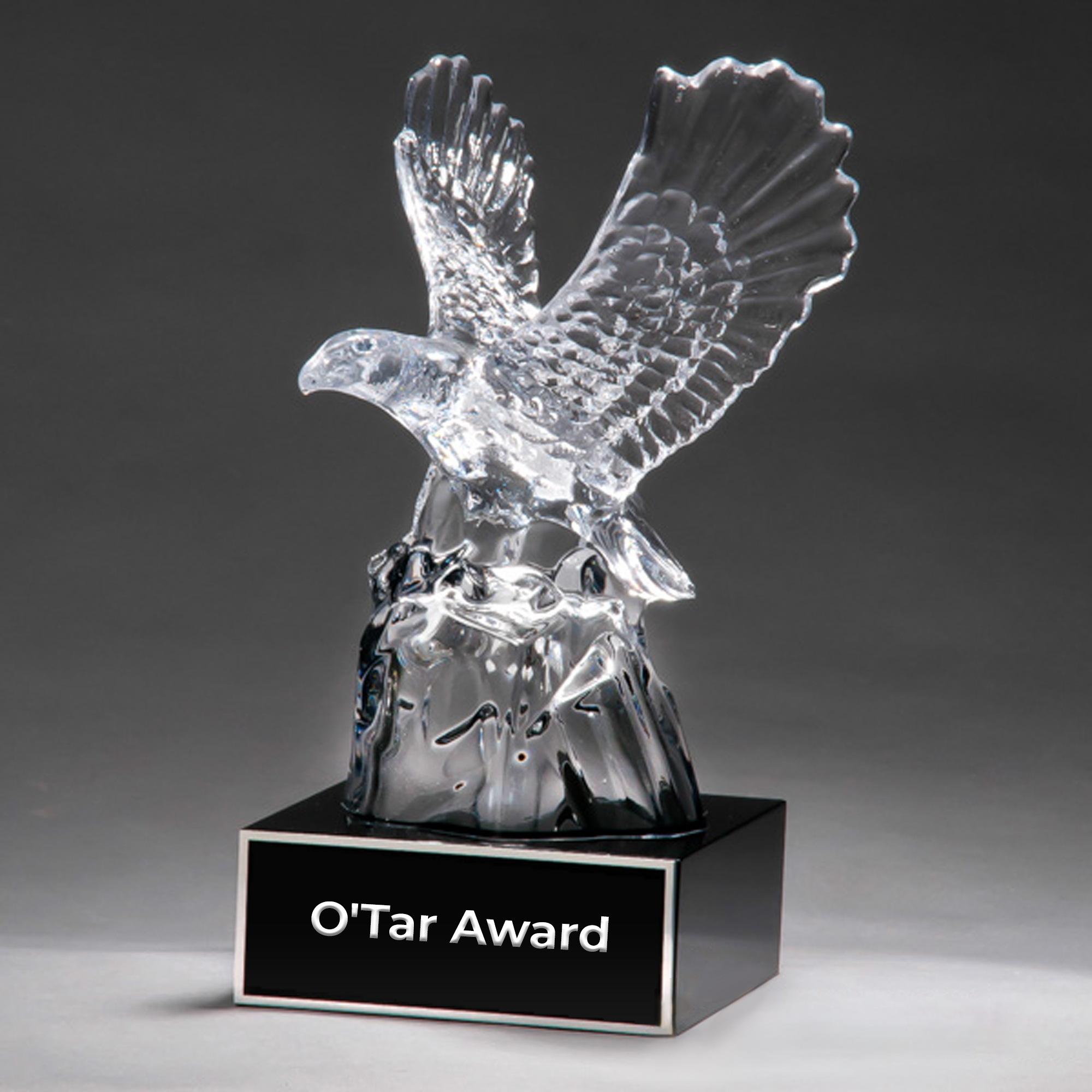 ISHRS Awards and Lectureships